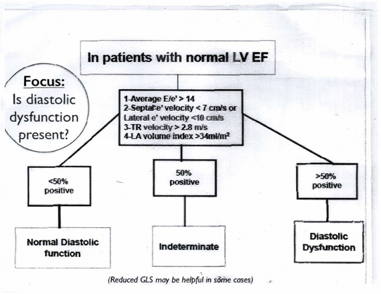 Diastolic Function Assessment With Normal EF | PDF | Cardiovascular System