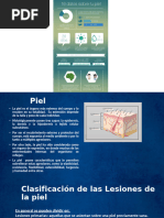 Definición de mácula y pápula en piel | PDF | Piel | Sistema tegumentario