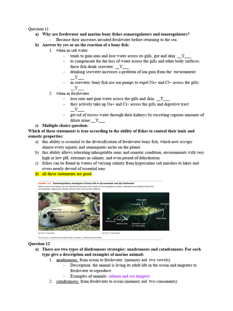 Bio Quiz 10 | PDF | Skin | Amphibian