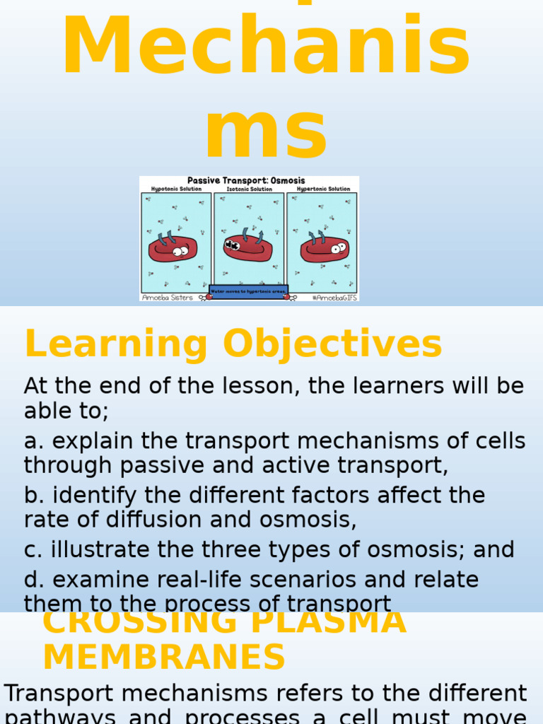 Transport Mechanism | PDF | Cell Membrane | Osmosis