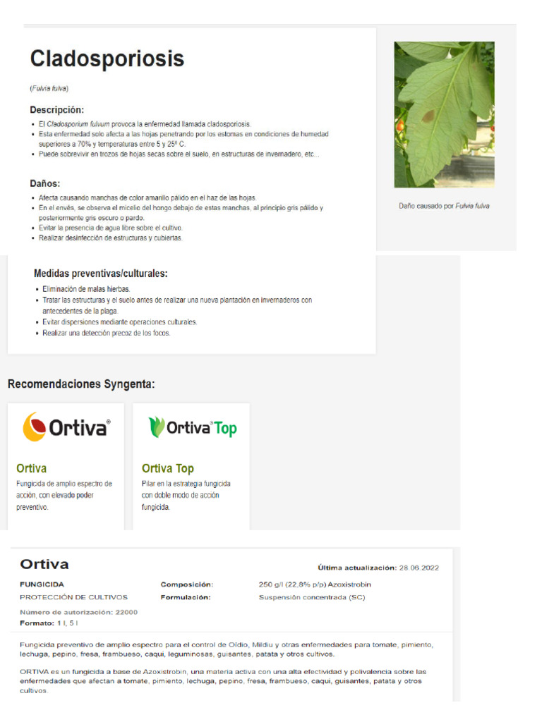 MANUAL DE PLAGAS Y ENFERMEDADES JITOMATE JPO | PDF