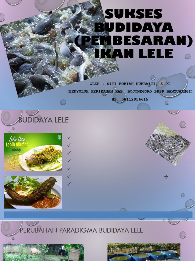 Teknis Budidaya Lele | PDF