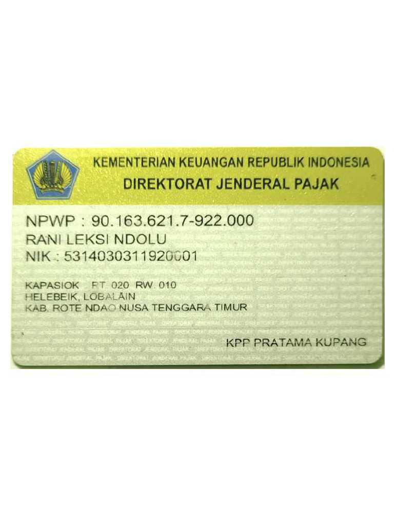 NPWP | PDF