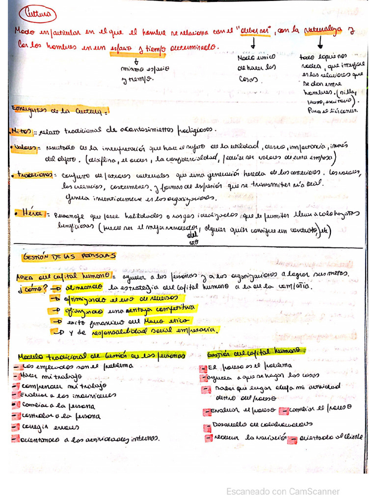 Primer Parcial GPO | PDF