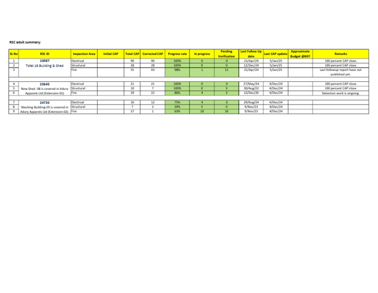 RSC Audit Summary and CAP Progress | PDF
