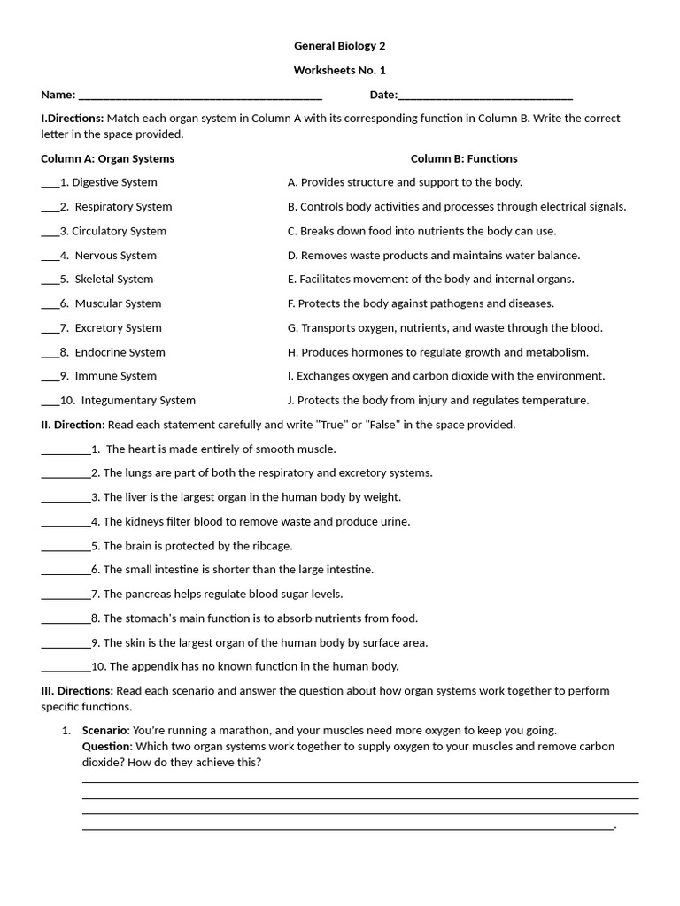 General Biology 2 Worksheets 1 | PDF | Human Body | Blood