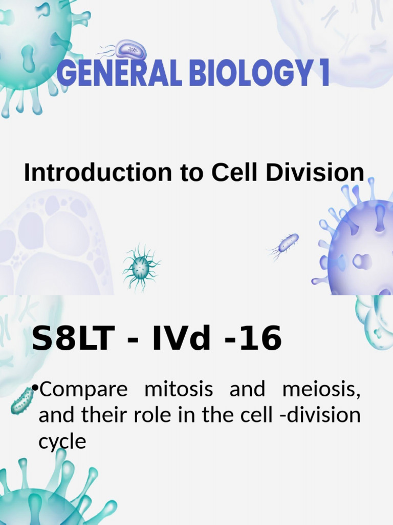 Mitosis and Meiosis: Cell Division Explained | PDF | Meiosis | Mitosis