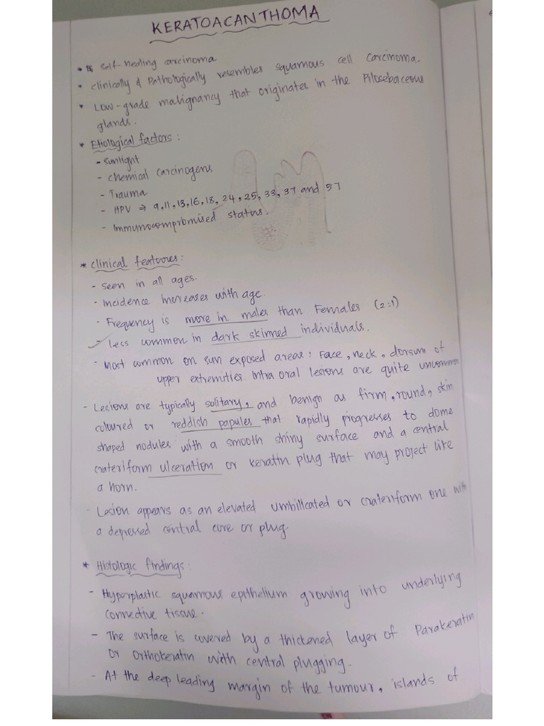 keratoacanthoma | PDF