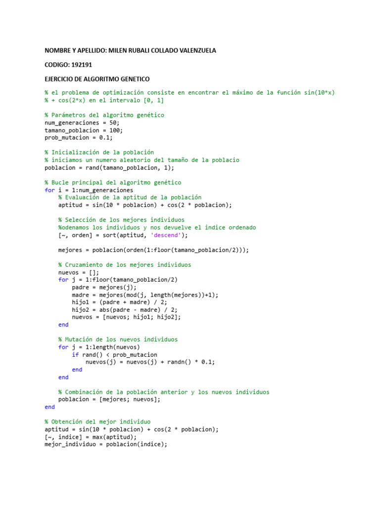 Ejercicio de Algoritmo Genetico | PDF