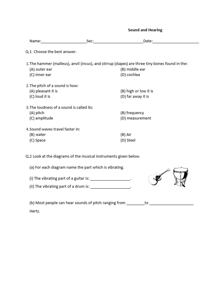 Sound and hearing worksheet | PDF