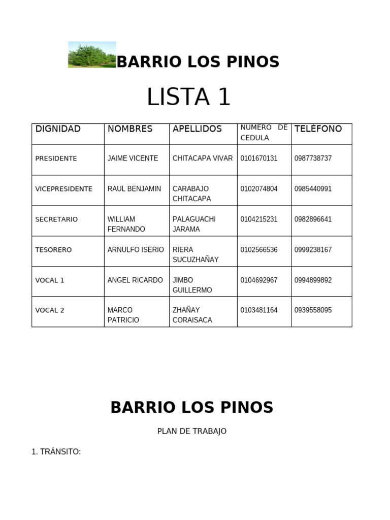 BARRIO LOS PINOS | PDF