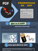 Funciones y síntesis del ATP en células | PDF | Trifosfato de adenosina ...