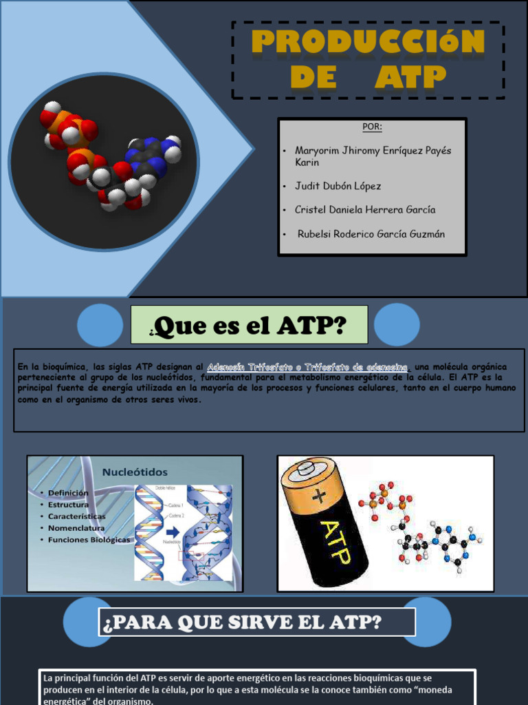 Produccion de ATP | PDF | Dieta y nutrición | Química