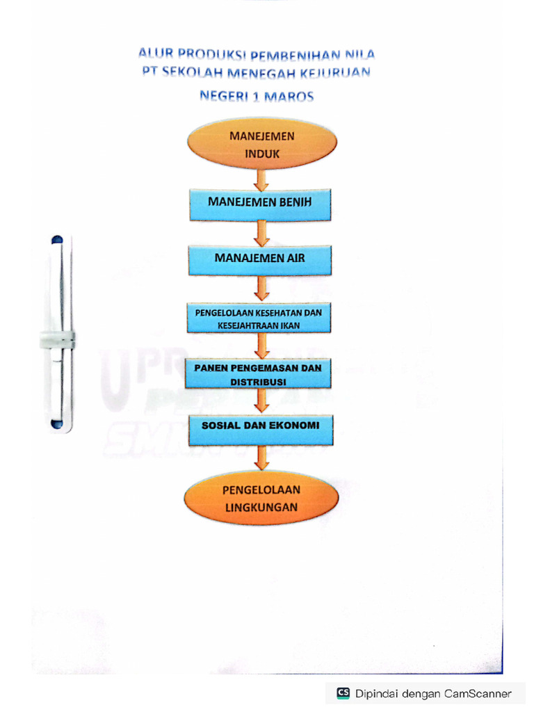 Alur Produksi Cpib | PDF