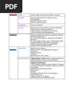 Neurulacion Embriologia | PDF | Anatomía | Biología del desarrollo
