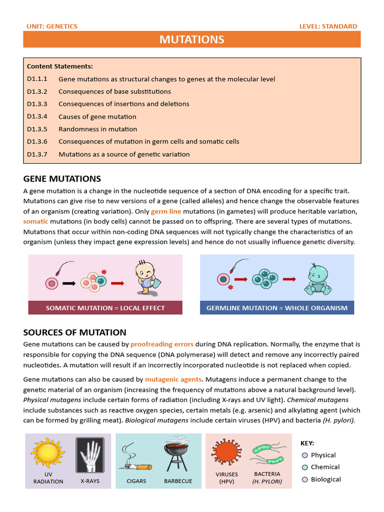 4.3 Mutations | PDF | Gene | Mutation