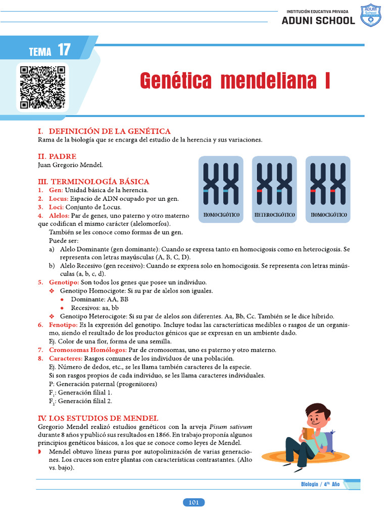 Genetica Mendeliana I | PDF | Dominancia (Genética) | Cigosidad