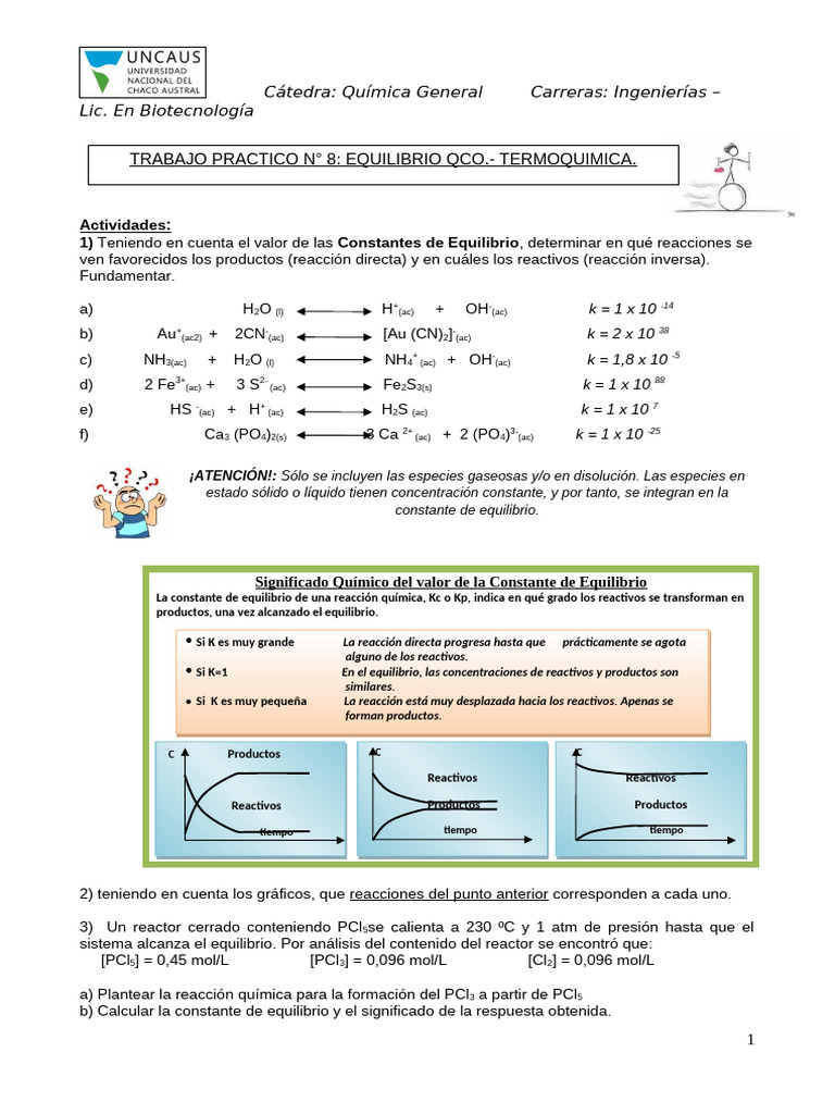 Trabajo Práctico Termoquímica | PDF | Equilibrio químico | Amoníaco