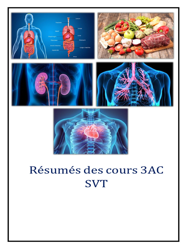 Résumé SVT 3ème Semestre 1 PDF | PDF | Sang | Nutriments