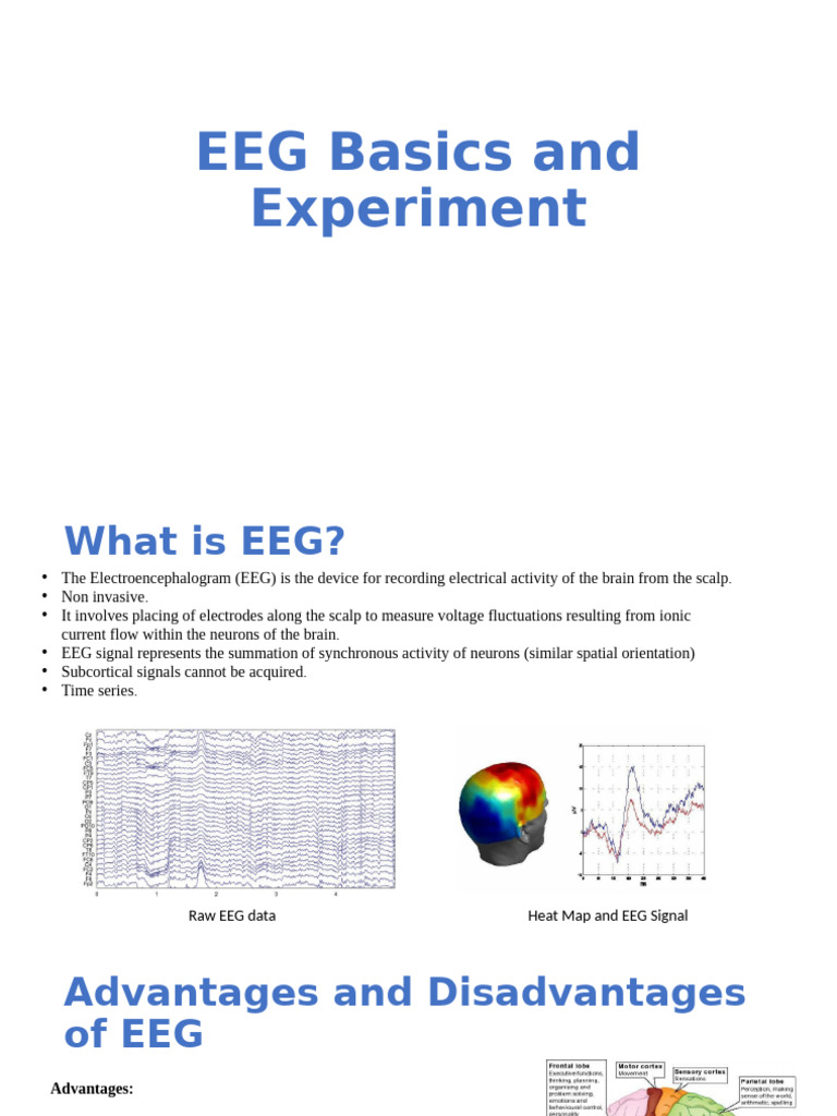 EEG Basics and Experiment | PDF | Electroencephalography | Neuroscience