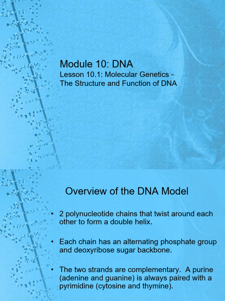 Understanding DNA Structure and Function | PDF | Dna | Chromosome