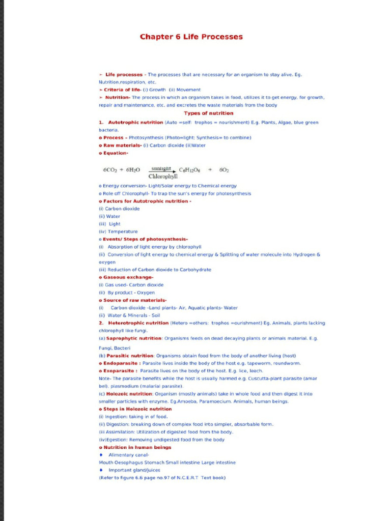 Life Processes Class 10 Notes | PDF