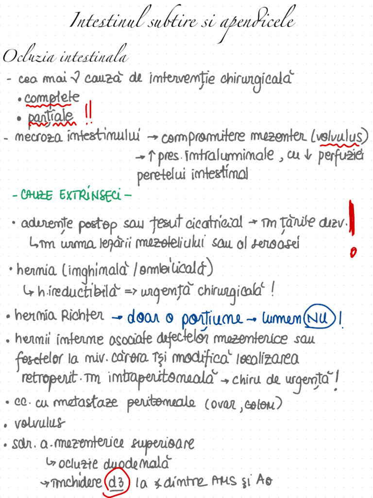 14. Intestinul Subtire Si Apendicele | PDF | Digestive System ...