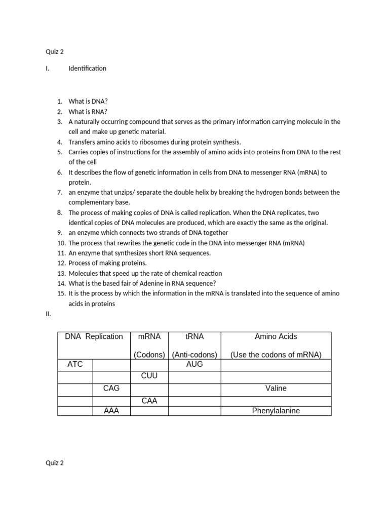 Quiz 2 | PDF | Dna | Rna
