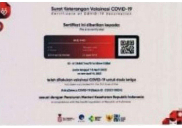 Vaksin - Mulyadi | PDF