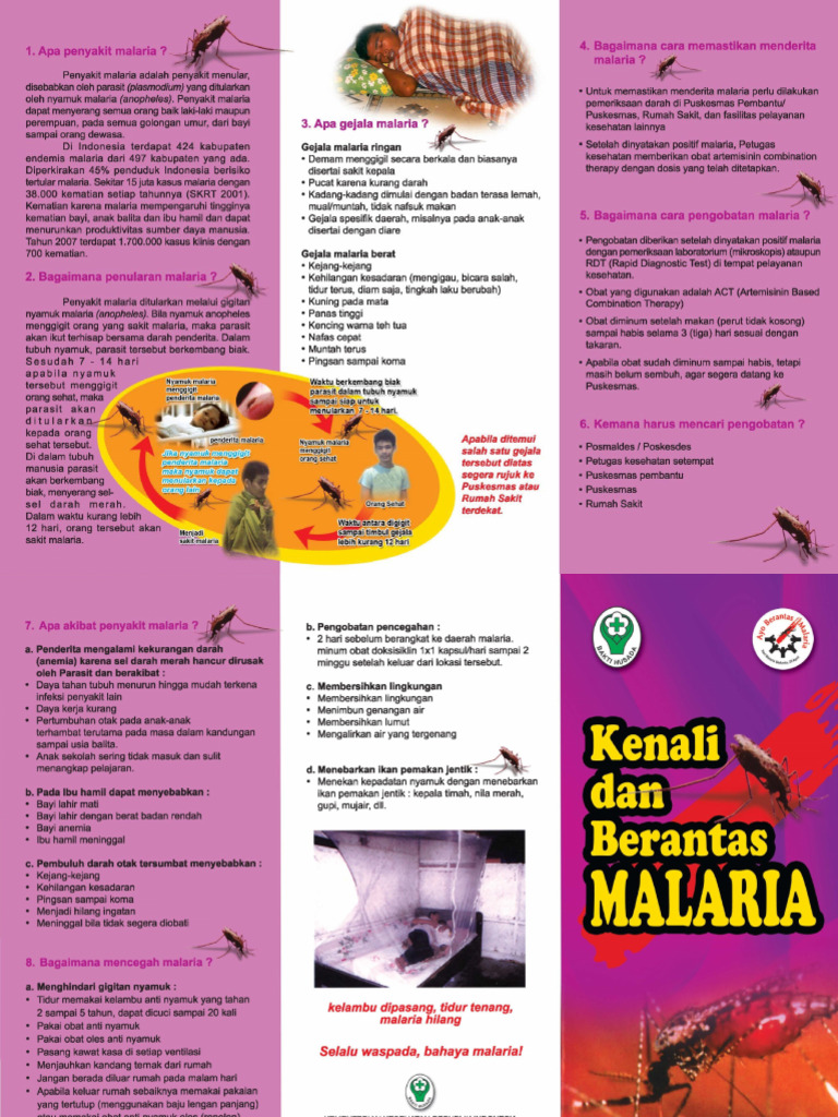 NR Leaflet Malaria | PDF