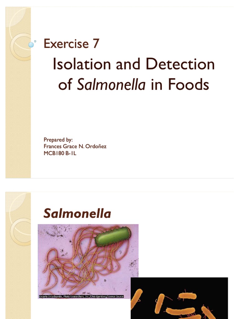 Exer7 Isolation and Detection of Salmonella in Foods Postlab | PDF ...