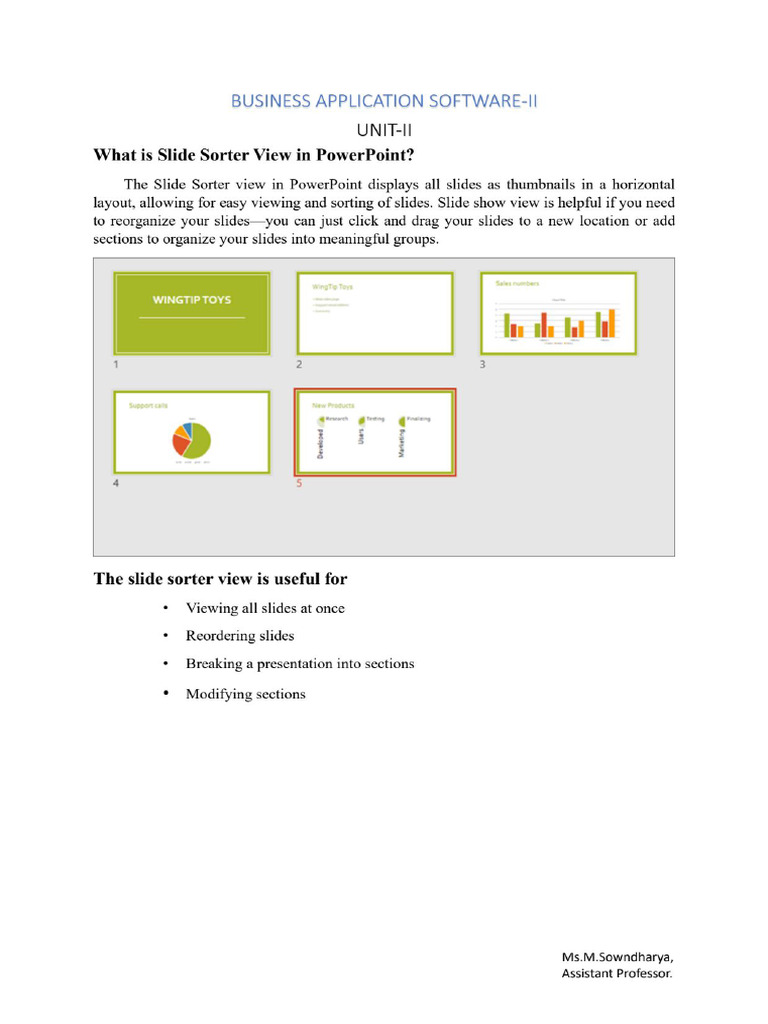 Business Application Software | PDF