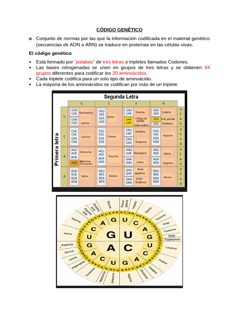 Código Genético | PDF | Codigo genetico | Traducción (biología)