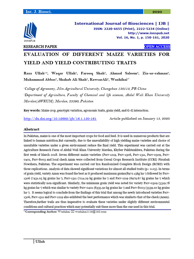 Maize Varieties Yield Evaluation Study | PDF | Maize | Food Industry