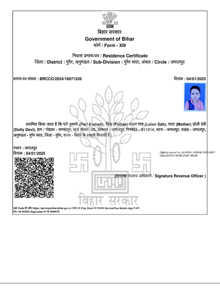 Brcco 2024 16071526 | PDF