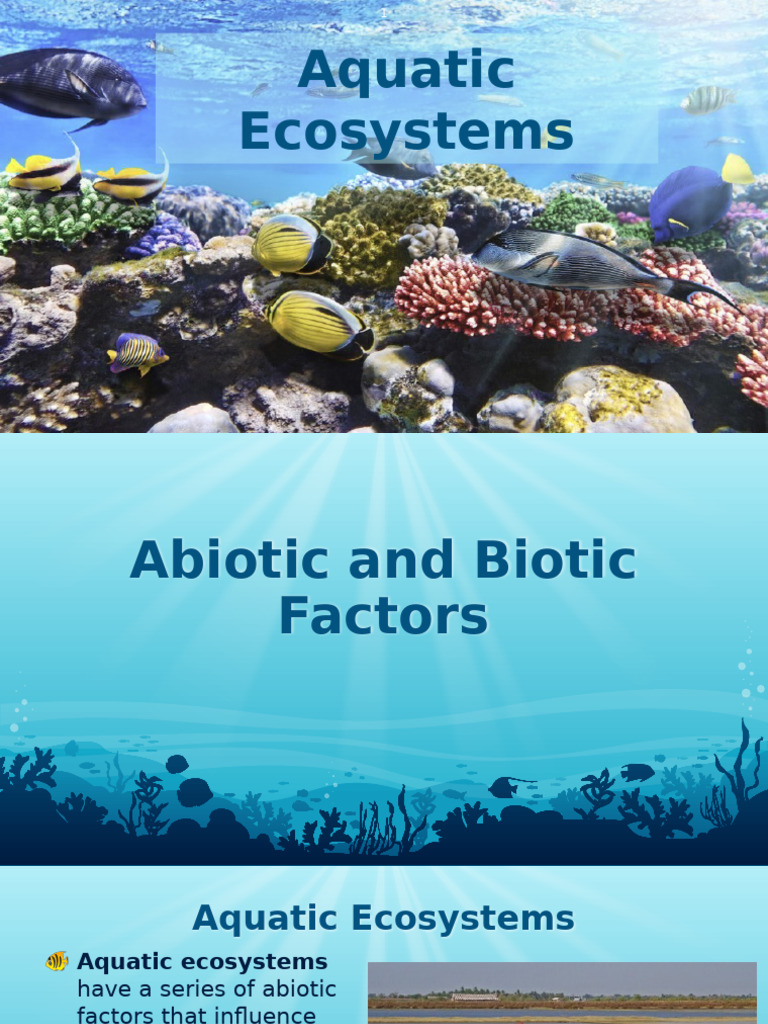 Aquatic Ecosystems Au 2 | PDF | Coast | Wetland