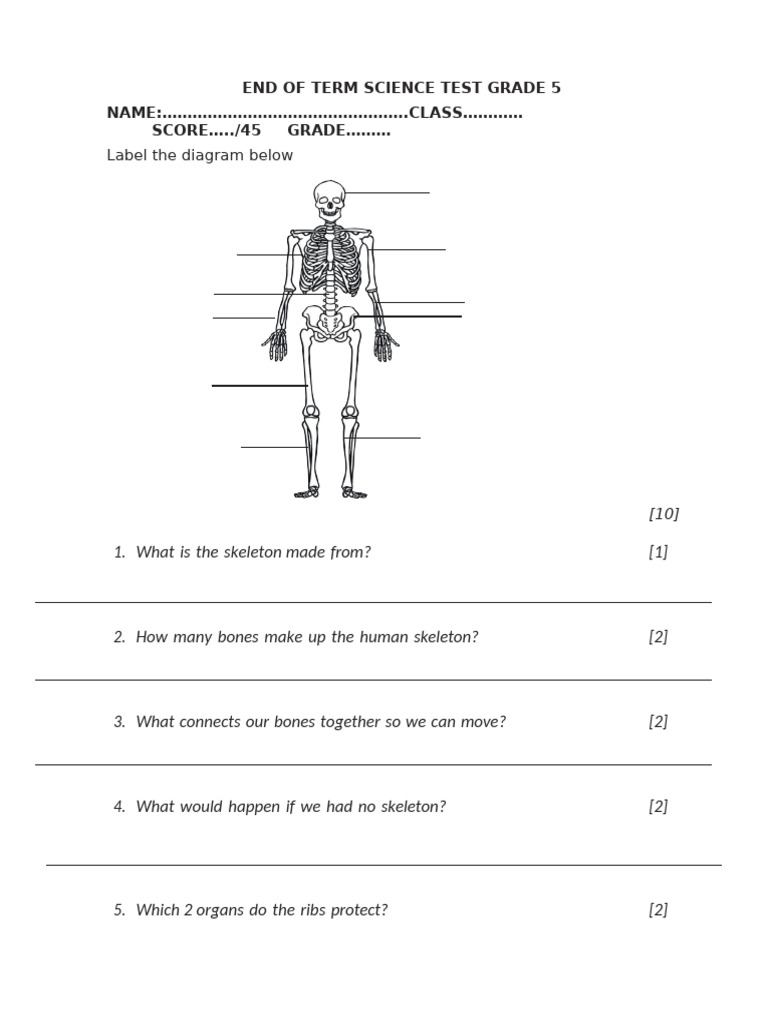 End of Term Science Test Grade 5 | PDF