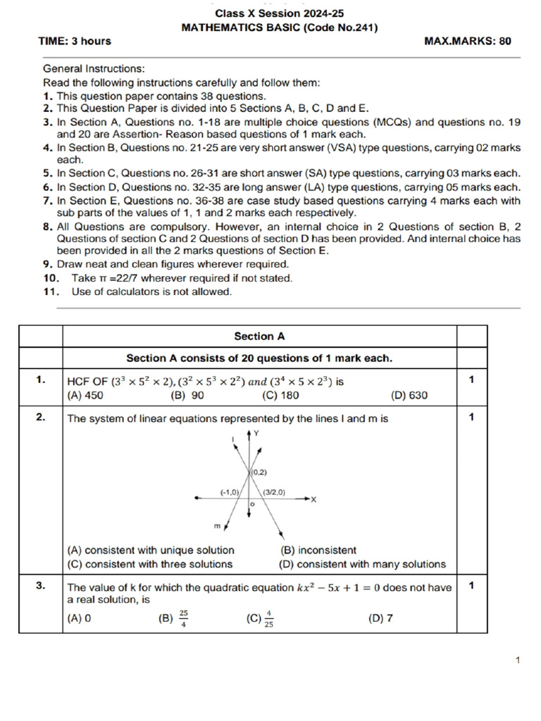 Mathematics Basic Class X | PDF