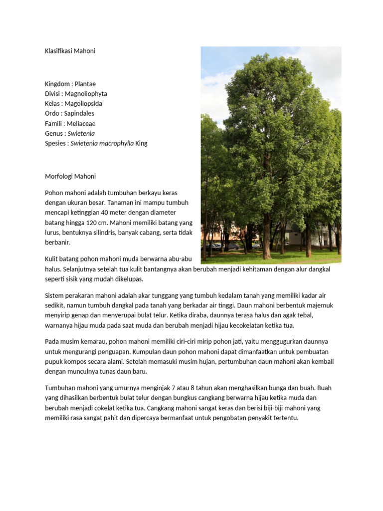 Klasifikasi Mahoni | PDF