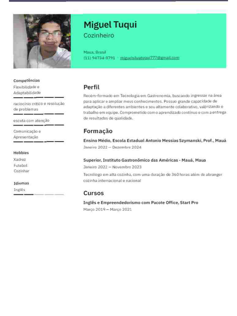 Currículo Miguel. | PDF