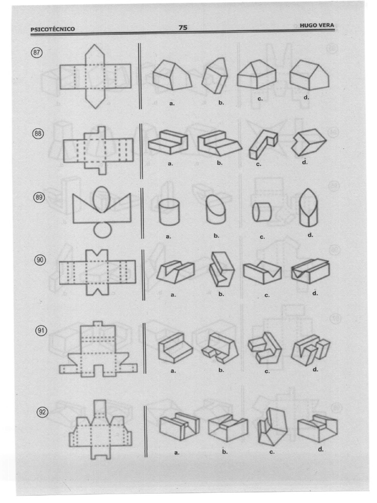 Libro Psicotecnico Hugo Vera 2 | PDF