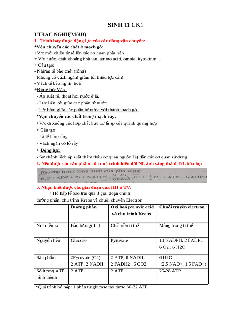 Sinh CK1 lớp 11 | PDF