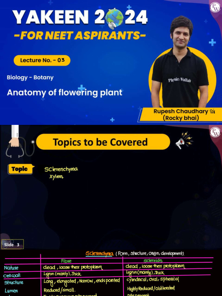 _Anatomy Of Flowering P03 | PDF