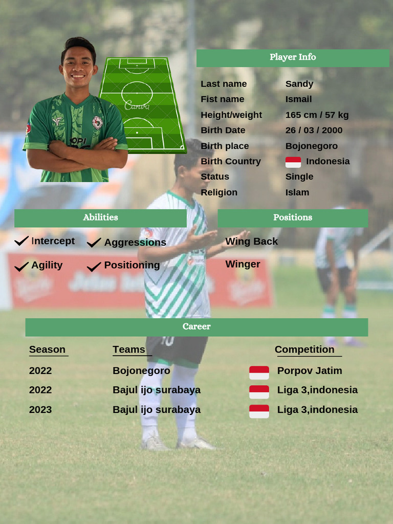 CV Ismail Sandy | PDF