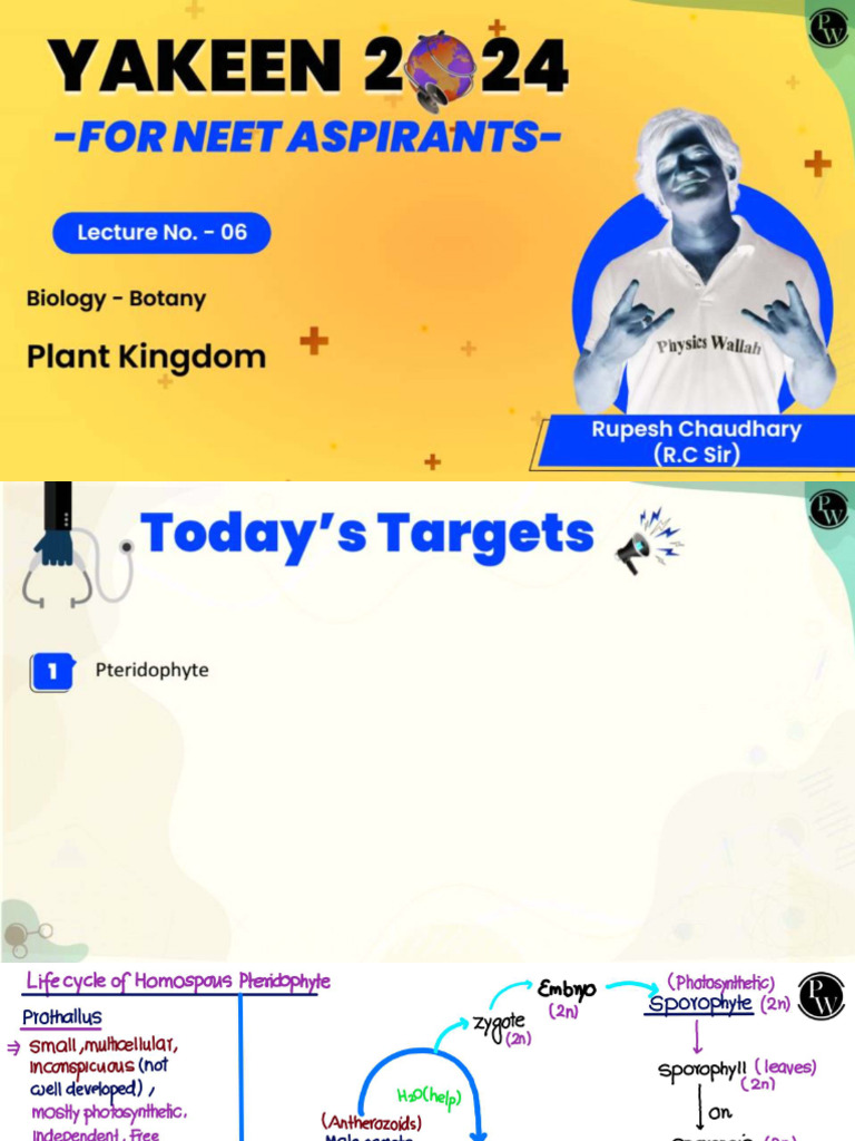 Plant Kingdom 06 Class - Invert | PDF