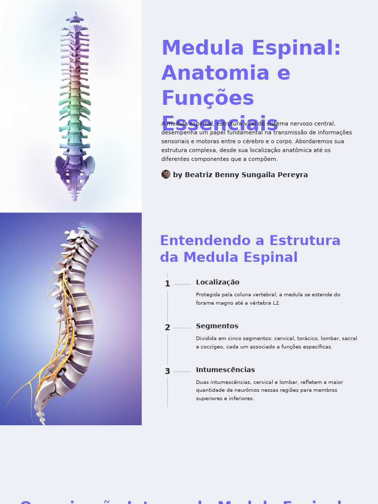 Medula Espinal Anatomia e Funcoes Essenciais | PDF | Medula espinhal | Cérebro