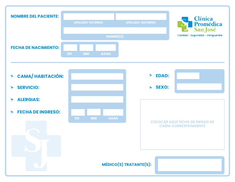 Identificador Externo - Promedica | PDF