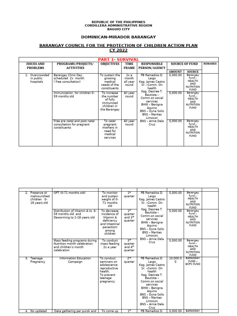 BCPC Action Plan 2022 | PDF | Public Health | Medical Specialties