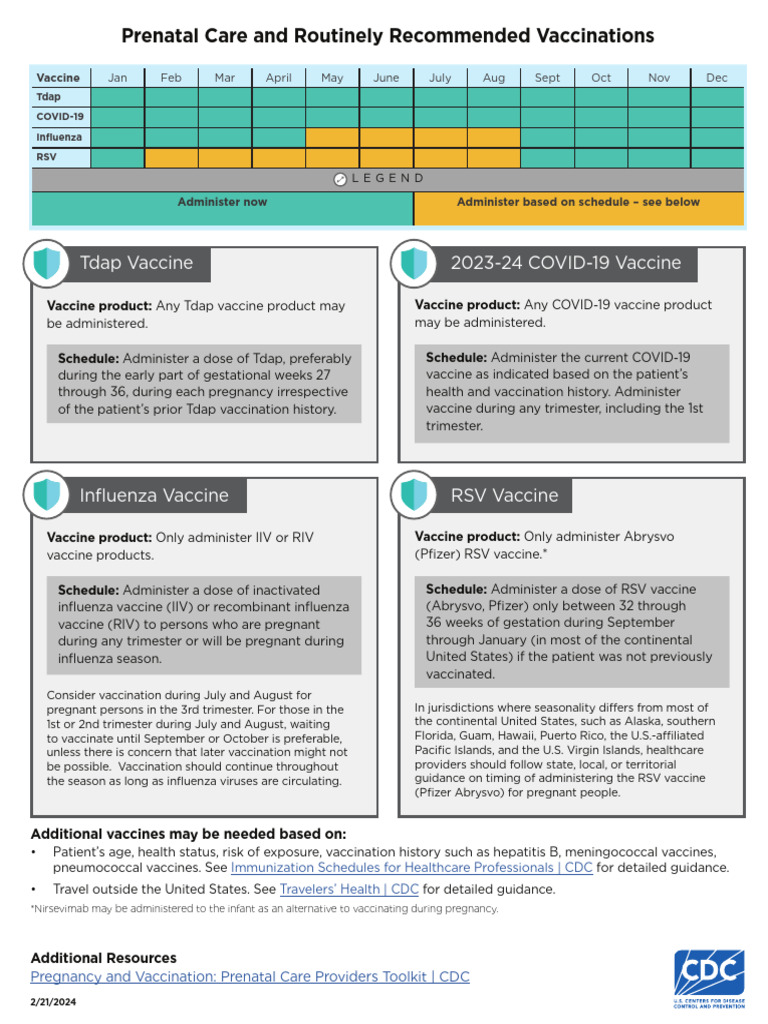 Prenatal Vaccination Guidelines 2024 | PDF | Vaccines | Influenza Vaccine