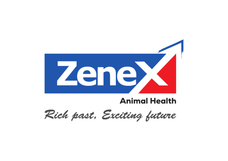Zenex Logo PDF | PDF
